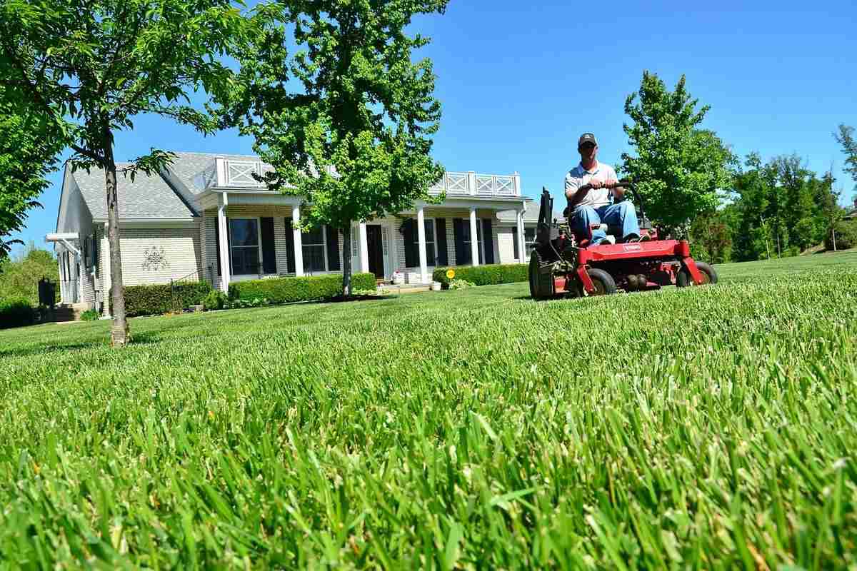 150 Lawn Care Business Names That Can Attract Customers 150 Lawn Care Business Names That Can Attract Customers