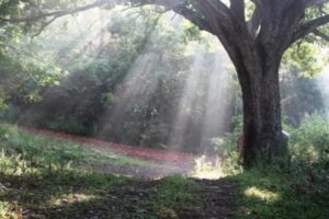 11 Top Examples of Balance in Design that Prove Its Effectiveness